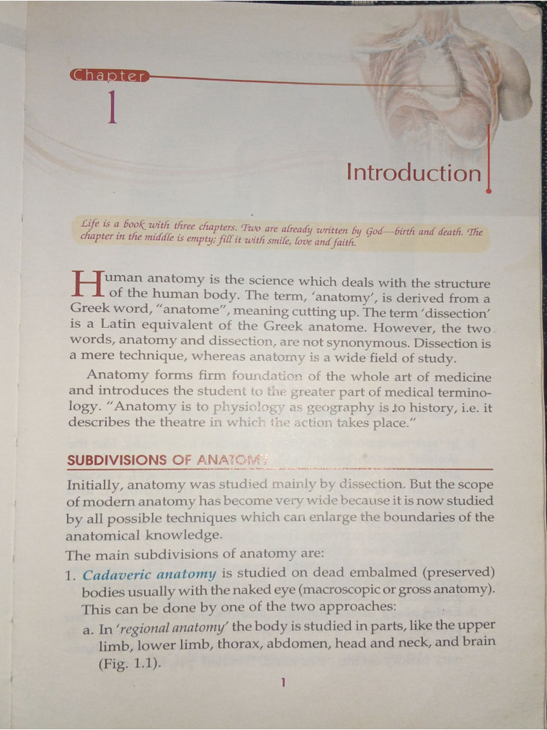 General Anatomy | PDF