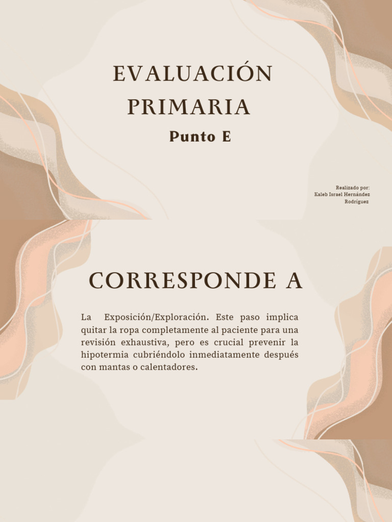 Realizado Por Kaleb Israel Hernández Rodríguez | PDF