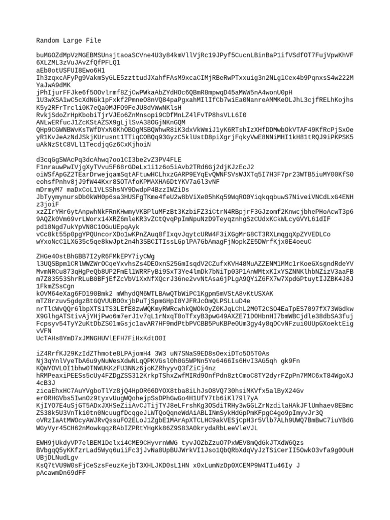 Random Large File Data Sample | PDF