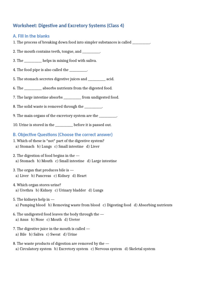 Digestive and Excretory Systems Worksheet Class4 | PDF | Digestion ...