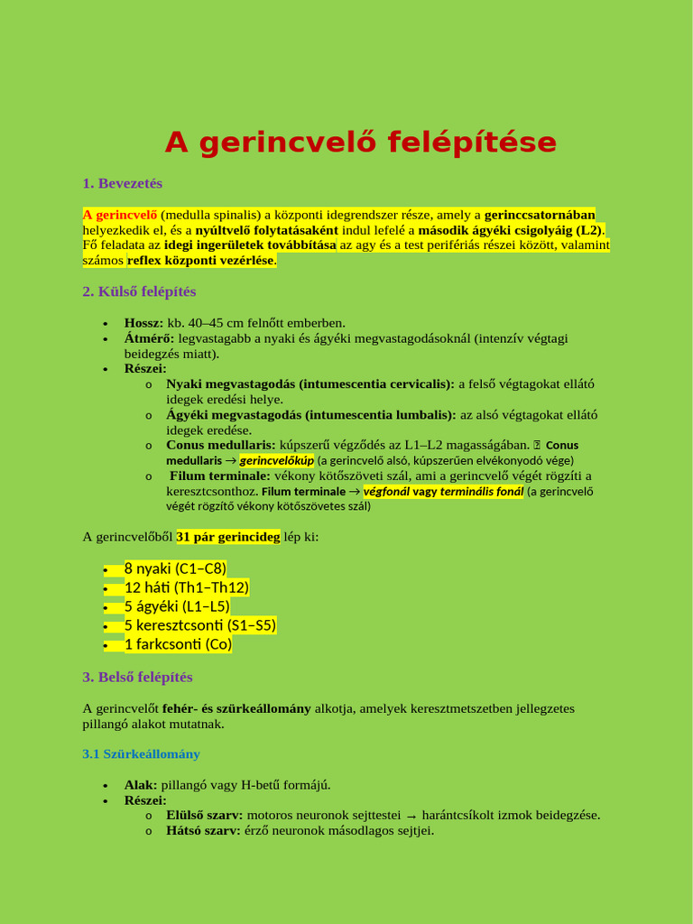 A Gerincvelő Felépítése | PDF