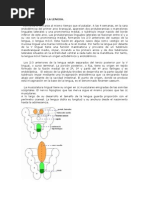 Tabla de Antihistaminicos Sedantes y No Sedantes Con Dosismoto | PDF ...