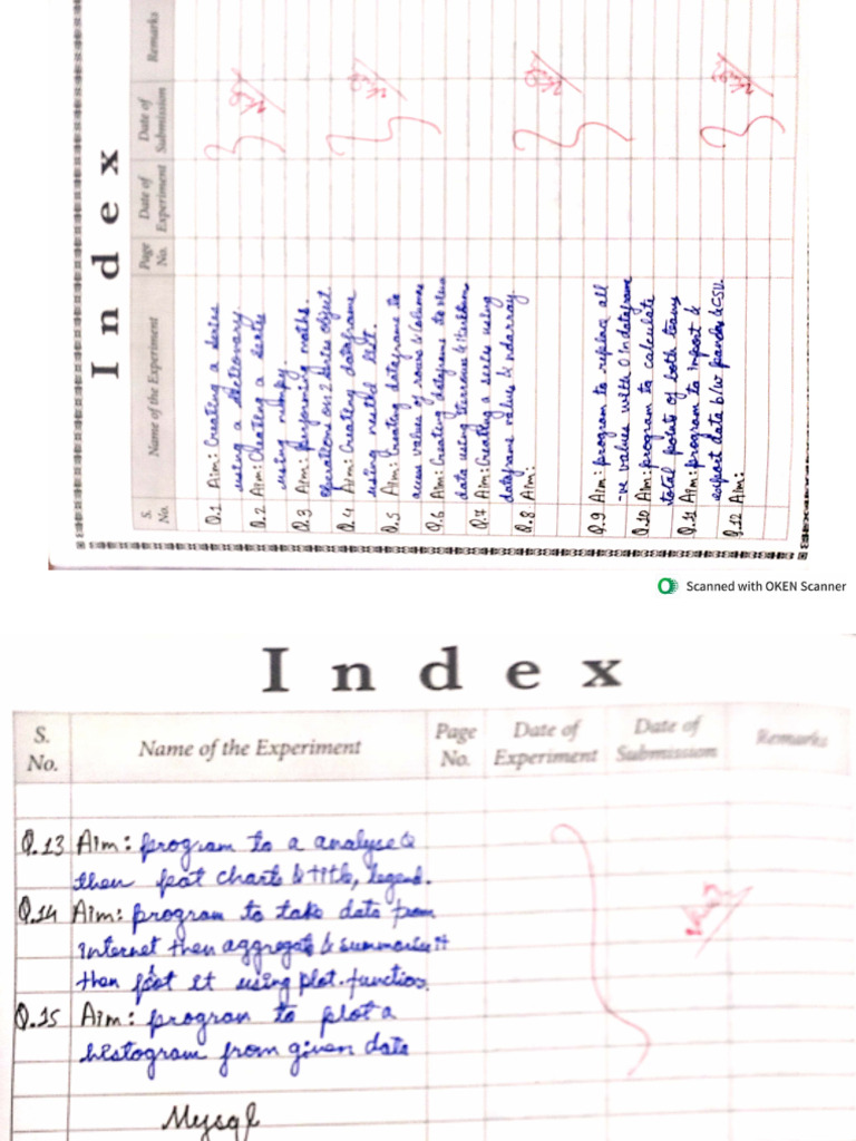 Ip Project Class 12 | PDF