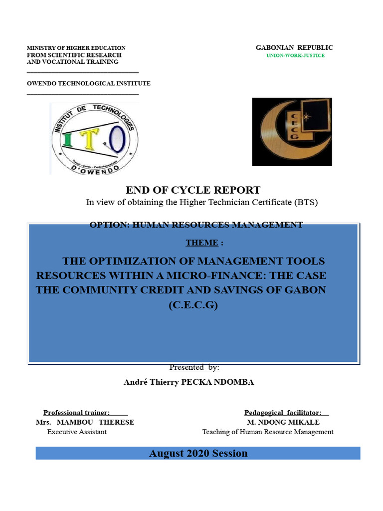 Sony Cover Page | PDF | Employment | Business