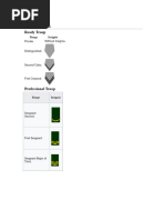 JCF Ranks and Badges Overview | PDF | National Security | Positions Of ...