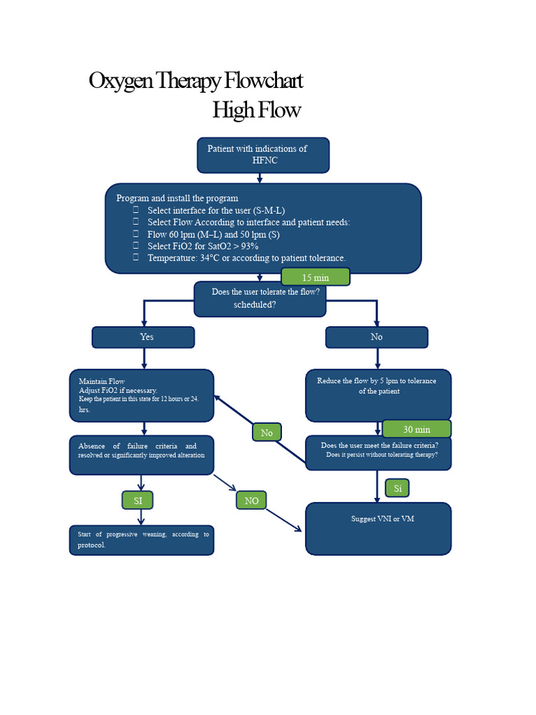 Flowchart High-Flow Oxygen Therapy System | PDF | Medical Emergencies ...