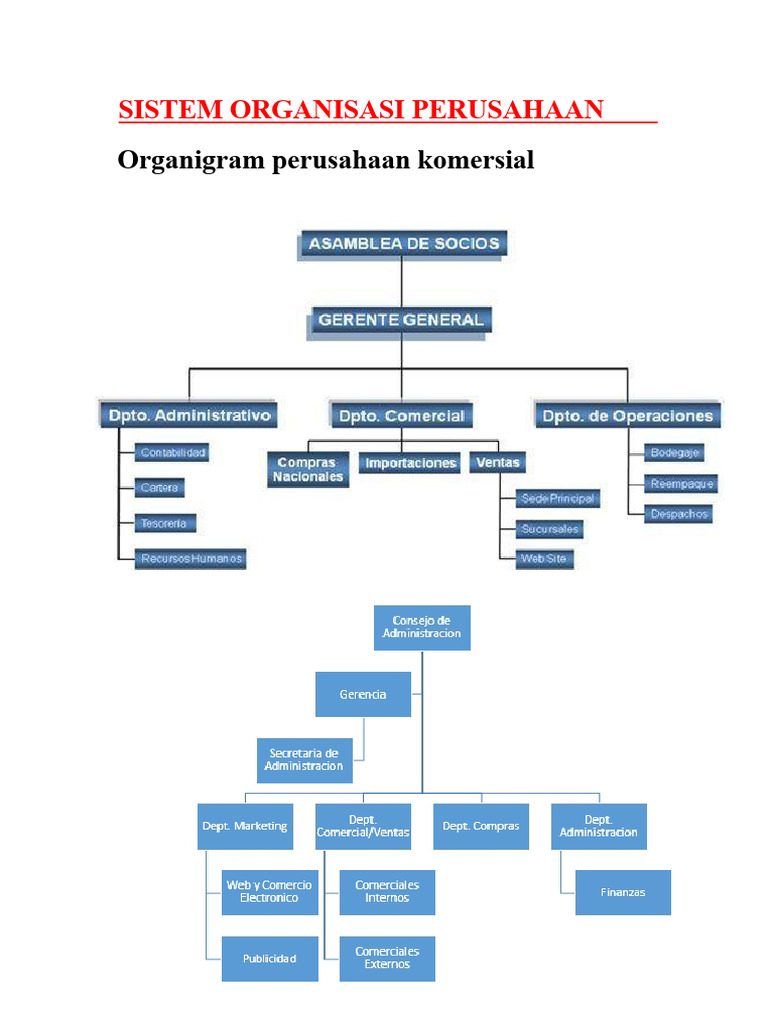 SISTEM ORGANISASI PERUSAHAAN (Sistem Biaya) | PDF