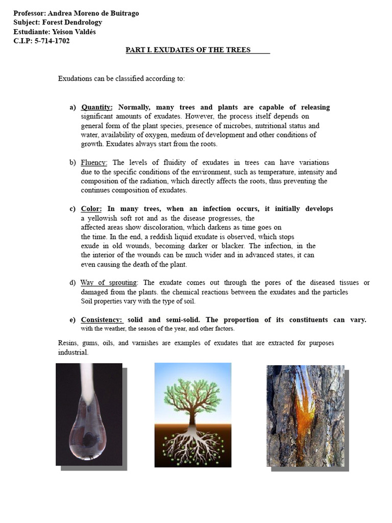 Life Zones According To Holdridge | PDF | Forests | Rainforest