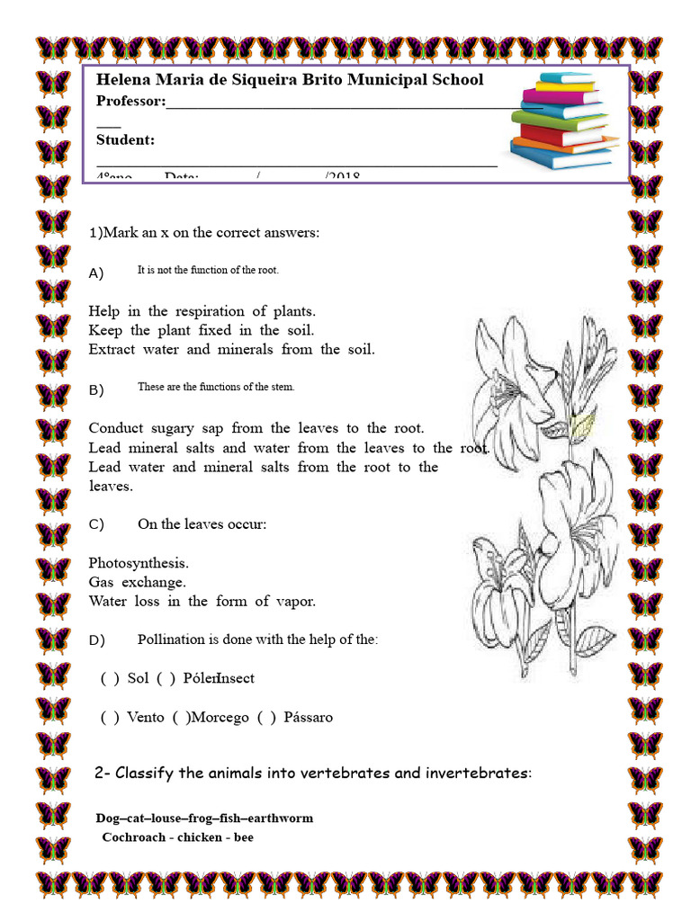 4th Grade Science Assessment | PDF | Planets | Invertebrate