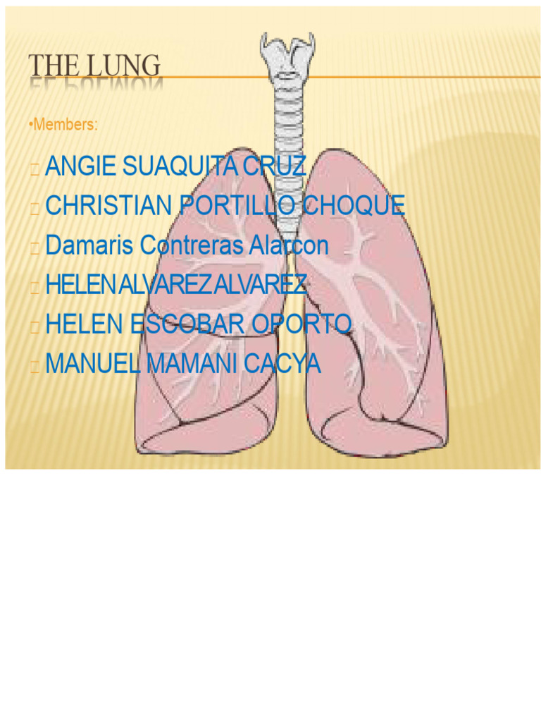 Lung Slide | PDF | Lung | Thorax (Human Anatomy)