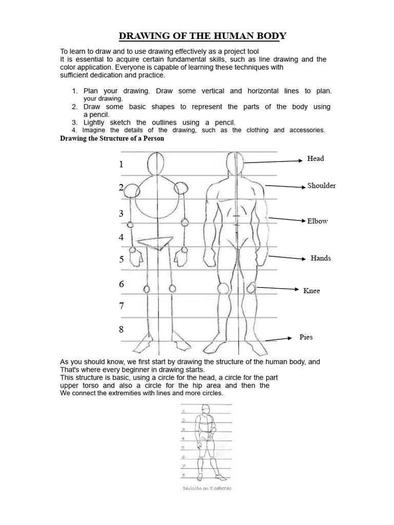 Essential Guide to Drawing the Human Body | PDF