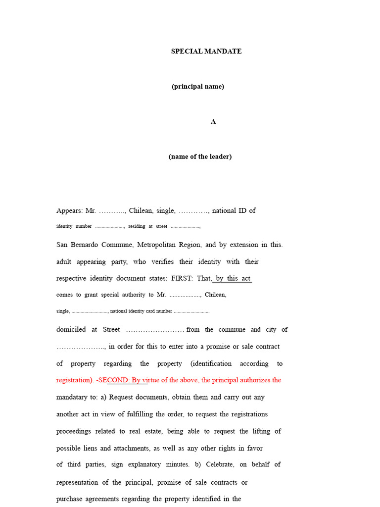 Special Mandate for Property Sale | PDF