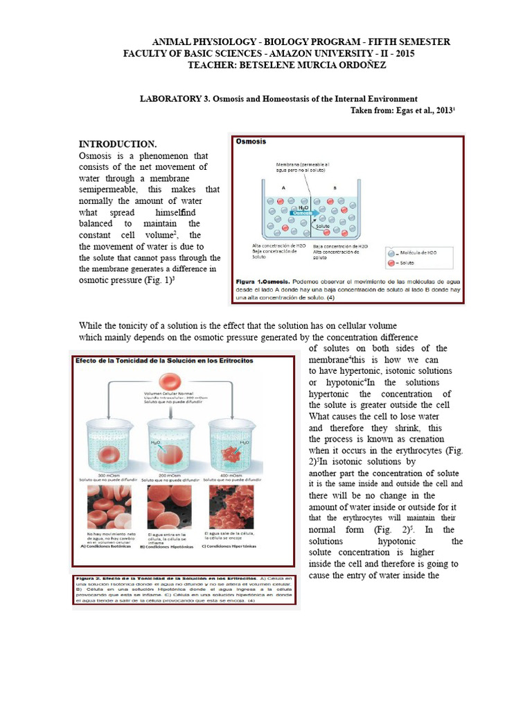 LABORATORY 3. Osmosis and Homeostasis of The Internal Environment | PDF ...