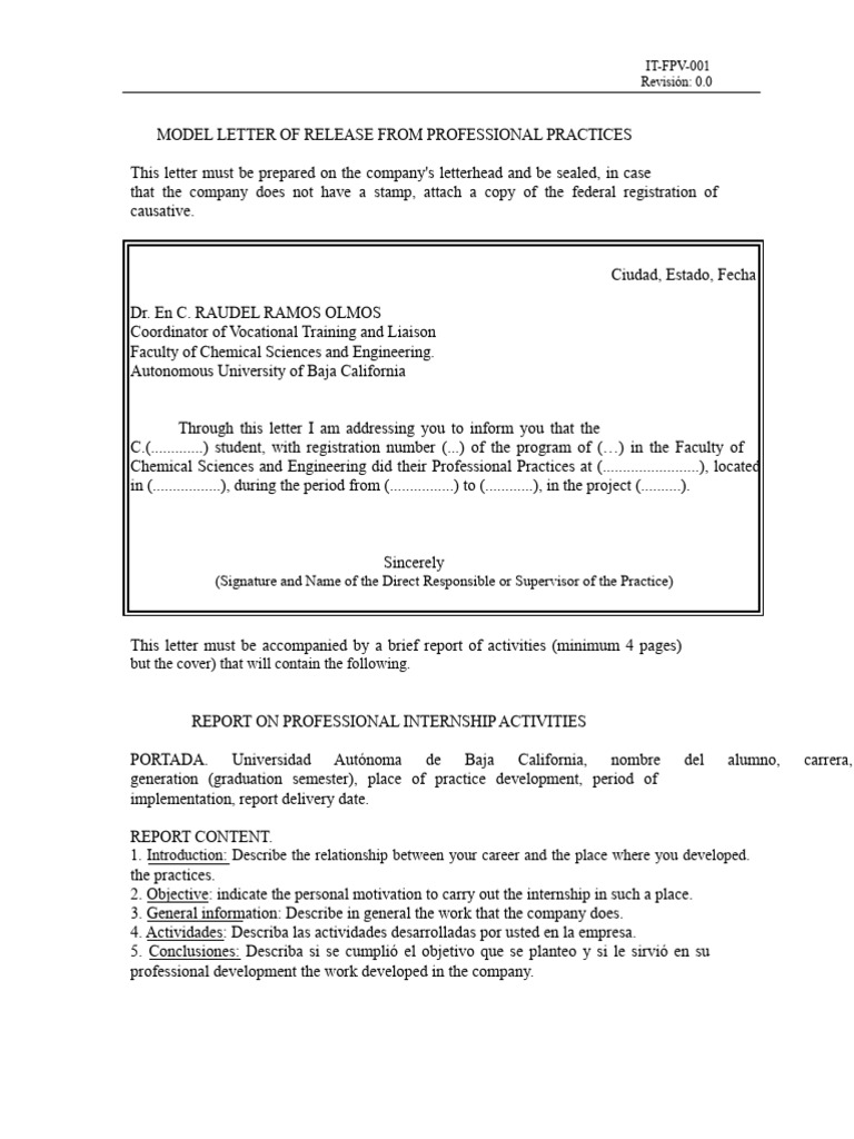 It-Fpv-001 Model For Release Letter and Professional Internship Report ...