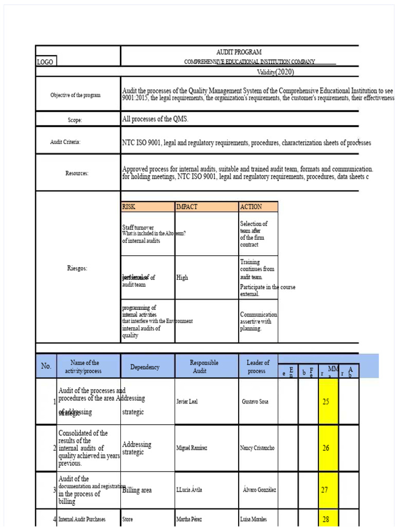 PDF Format On Internal Audit Plan and Program Examples 2020xls DD | PDF ...