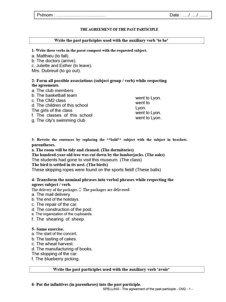 Past Participle Agreement Exercises | PDF | Verb | Subject (Grammar)