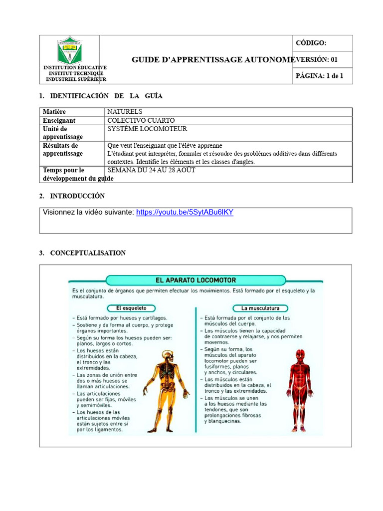 Guide d'apprentissage système locomoteur | PDF | Apprentissage