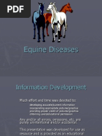 Basic Horse Training | PDF | Equidae | Horses