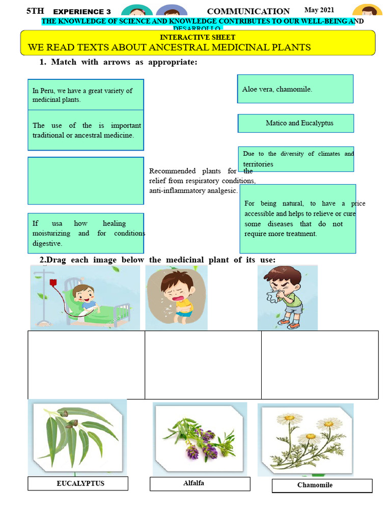 File Ancestral Healing Plants | PDF