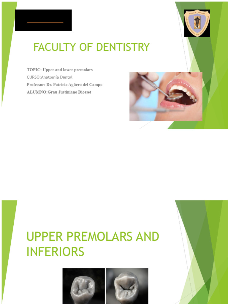 Upper and Lower Premolars | PDF | Dental Anatomy | Tooth