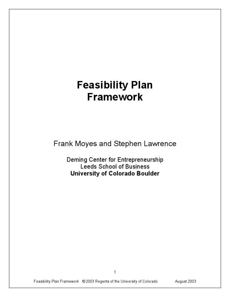 Feasibility Framework | PDF | Business