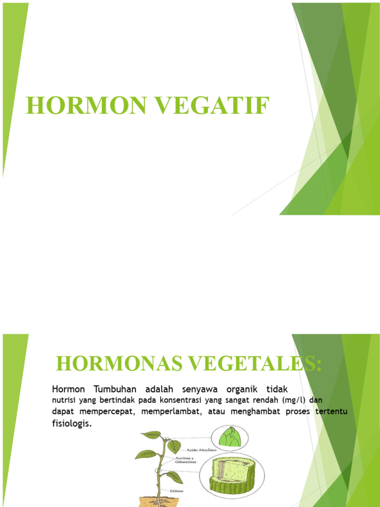 Hormon Tumbuhan | PDF