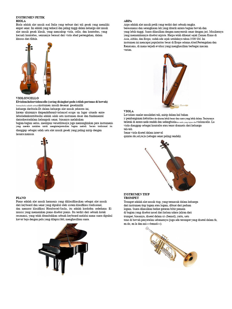 Alat Musik: Petik, Tiup, dan Perkusi | PDF