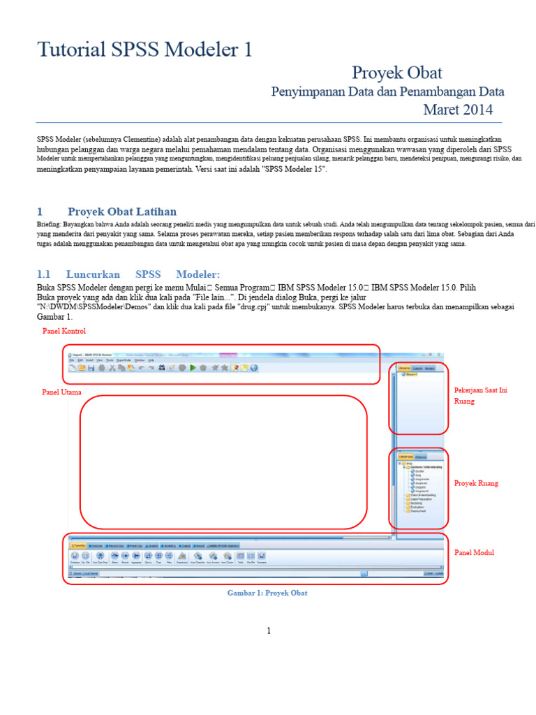 Tutorial SPSS Modeler untuk Proyek Obat | PDF