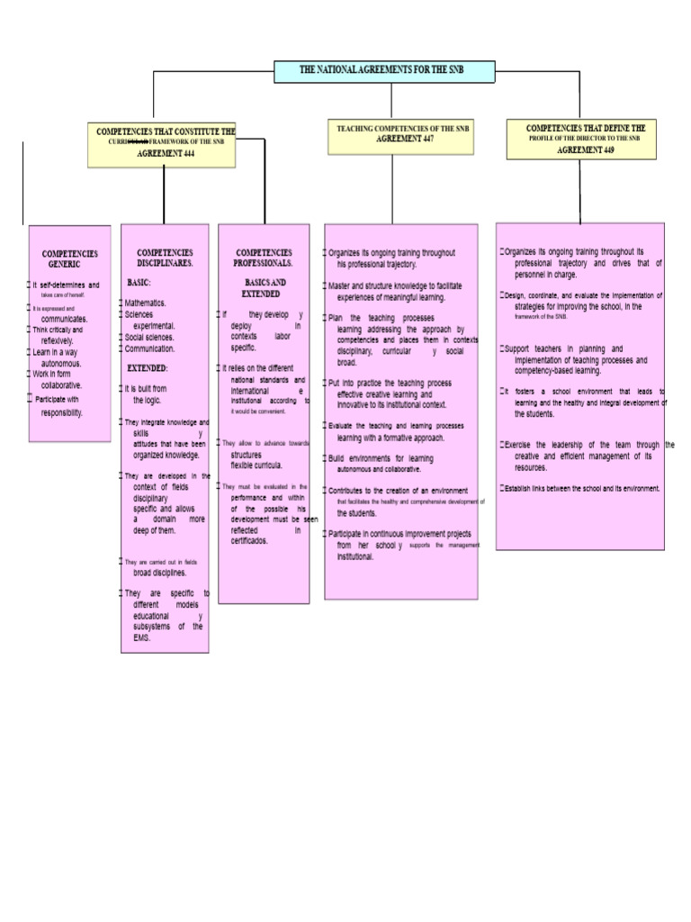 Conceptual Map Competencies of The SNB | PDF | Learning | Science