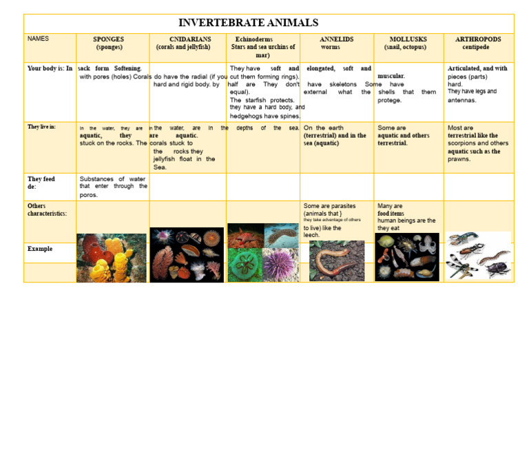 Types of Invertebrate Animals | PDF | Invertebrate | Skeleton