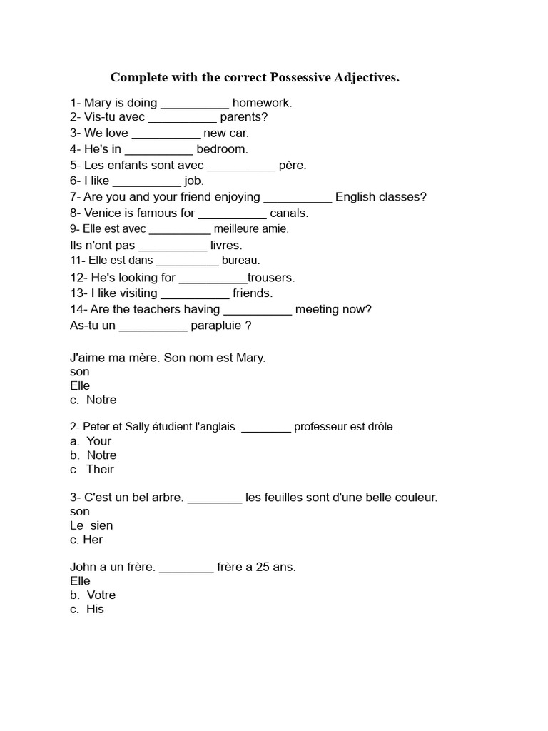 Complétez Avec Les Adjectifs Possessifs Corrects. | PDF