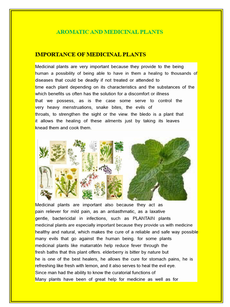 Importance of Medicinal Plants | PDF | Medicine | Health Sciences