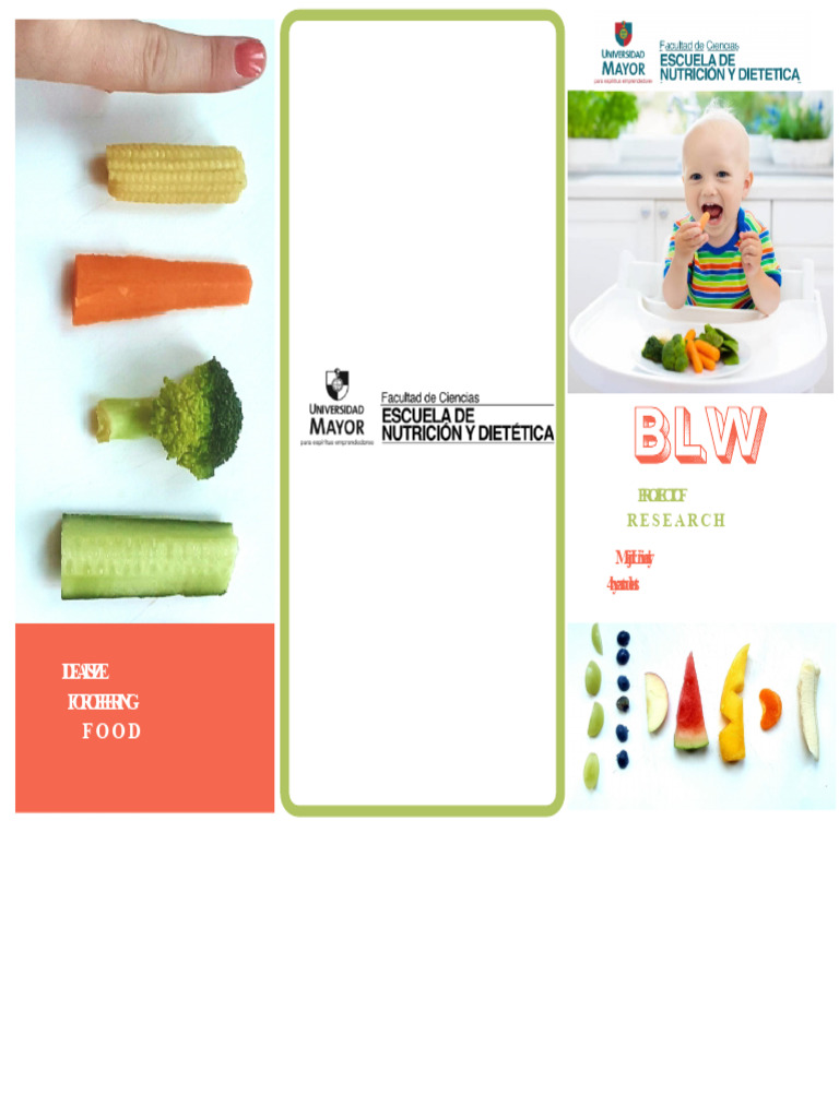 BLW Triptych | PDF | Nutrition | Diet & Nutrition