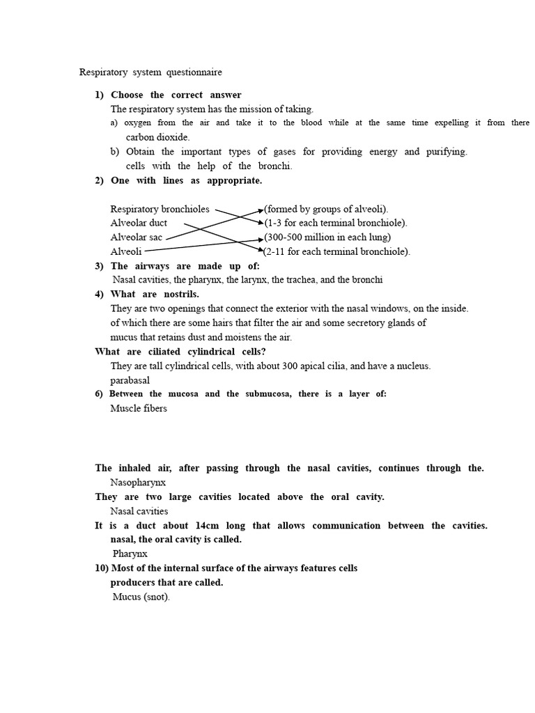Questionnaire of The Respiratory System | PDF | Respiratory Tract ...