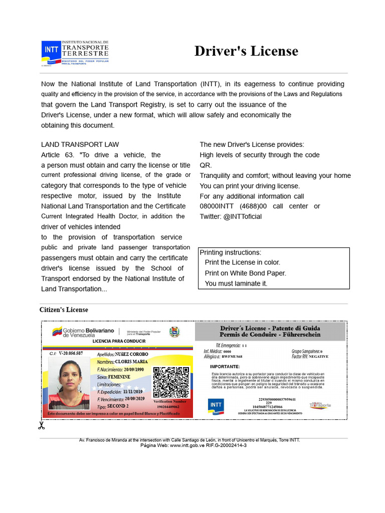 New Driver's License Format Explained | PDF | Driver's License | Driving