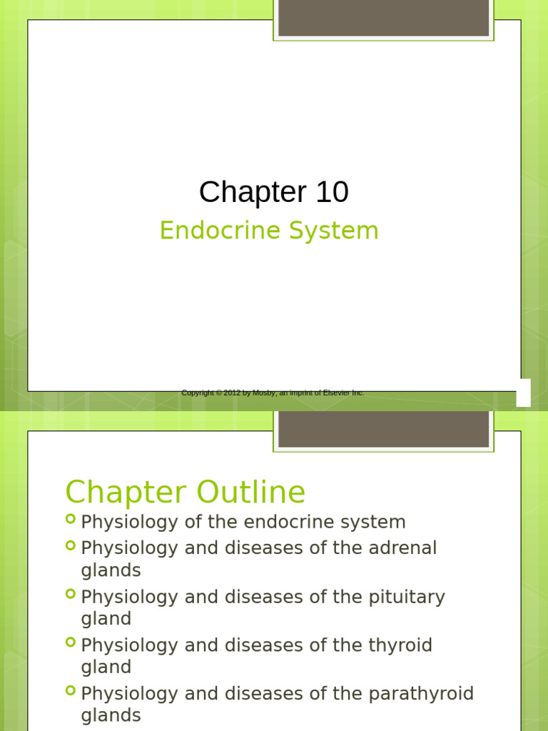 Endocrine System Pathology Chapter 10 | PDF | Endocrine System ...