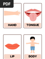 Colorful Illustrative Pet Animals Worksheet (13) | PDF