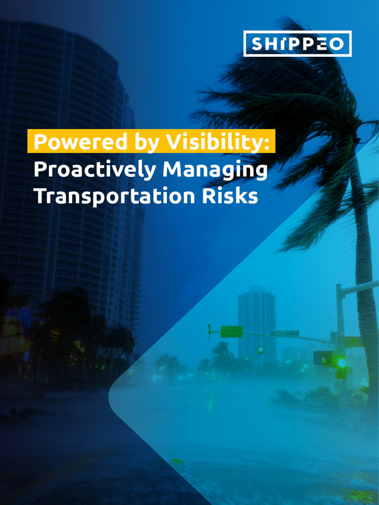 Shippeo WP Proactively Managing Transportation Risks 092925 | PDF ...