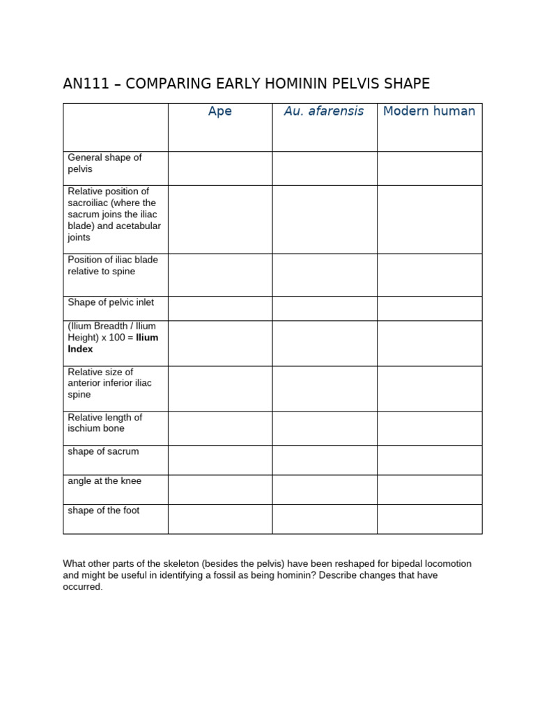 An111 Comparing Early Hominin Pelvis Shape | PDF