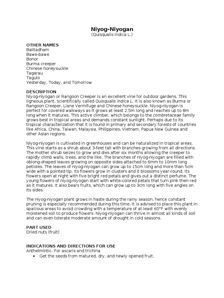 Niyog Niyogan | PDF | Plants | Organisms