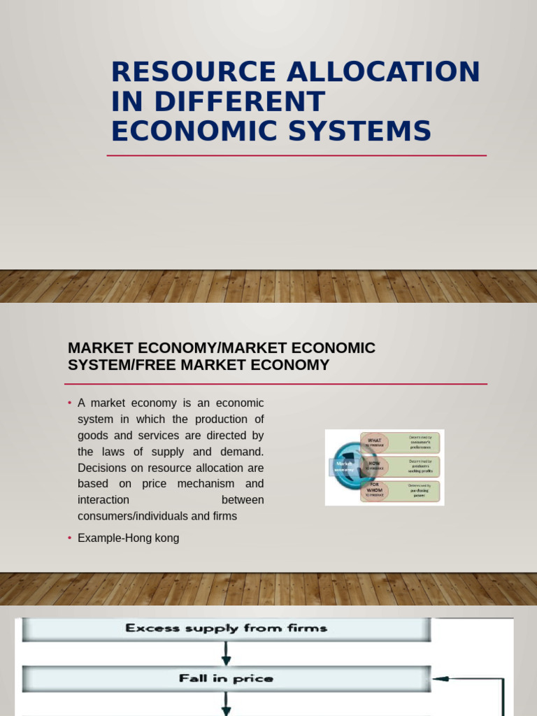 Resource Allocation in Economic Systems | PDF | Economic System ...