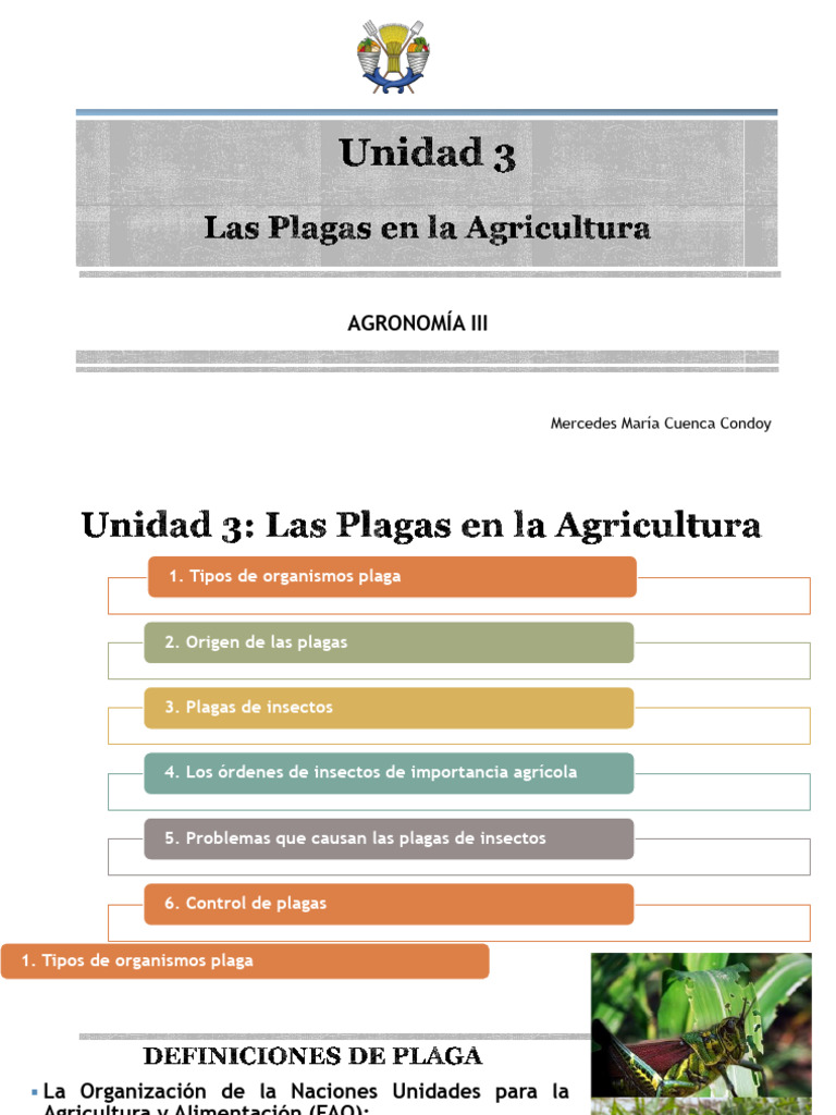 Plagas Agrícolas: Tipos y Control | PDF | Insectos | Plaga (organismo)