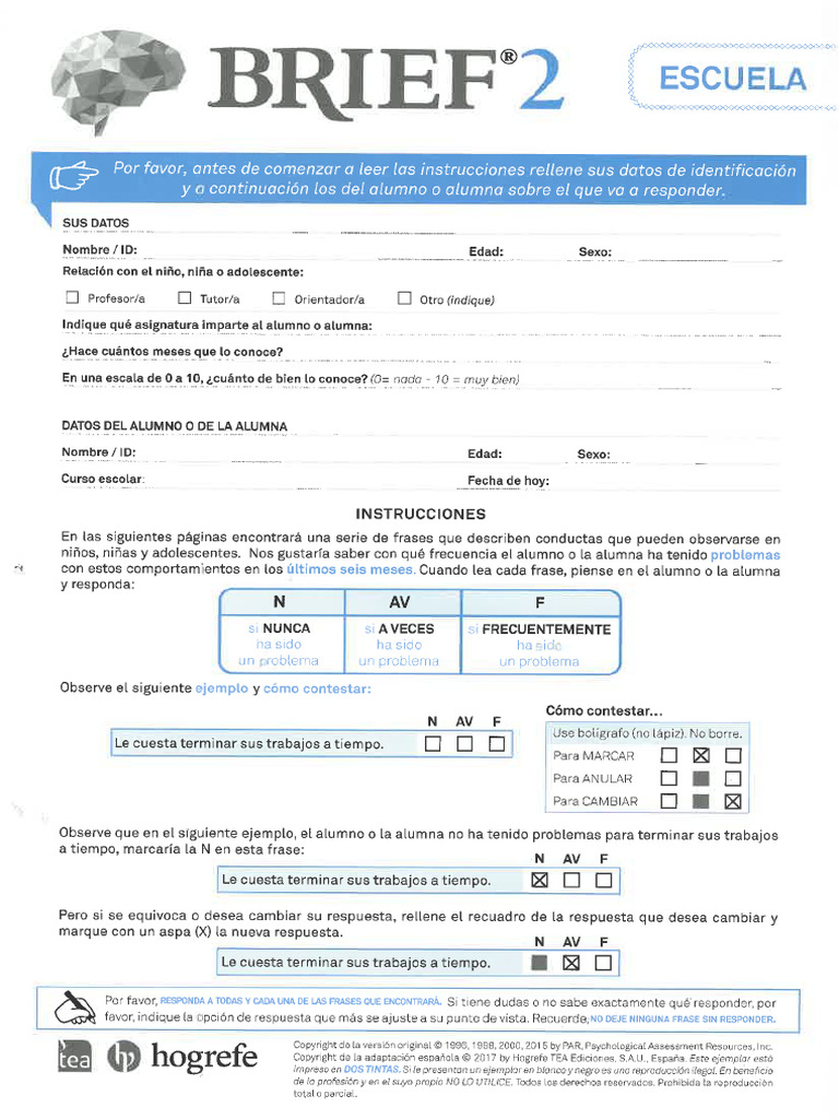 Test Brief2 | PDF