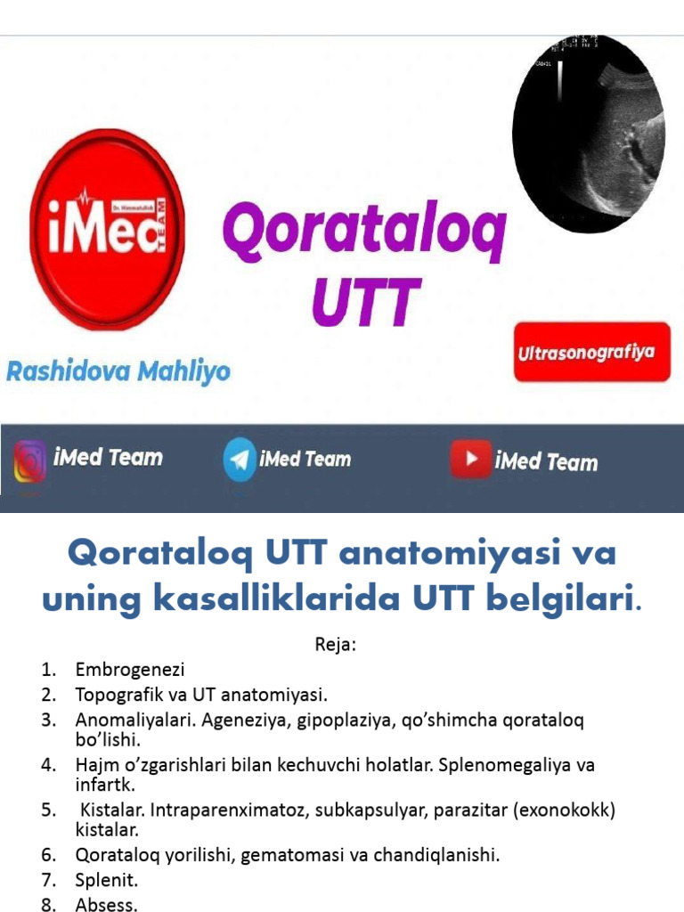 Qorataloq UTT Anatomiyasi Va Uning Kasalliklarida UTT Belgilari | PDF