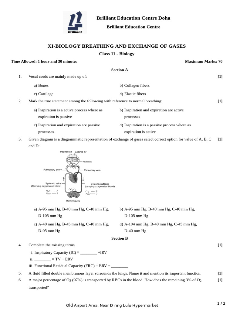Class 11 Biology: Breathing & Gas Exchange | PDF | Respiratory System ...
