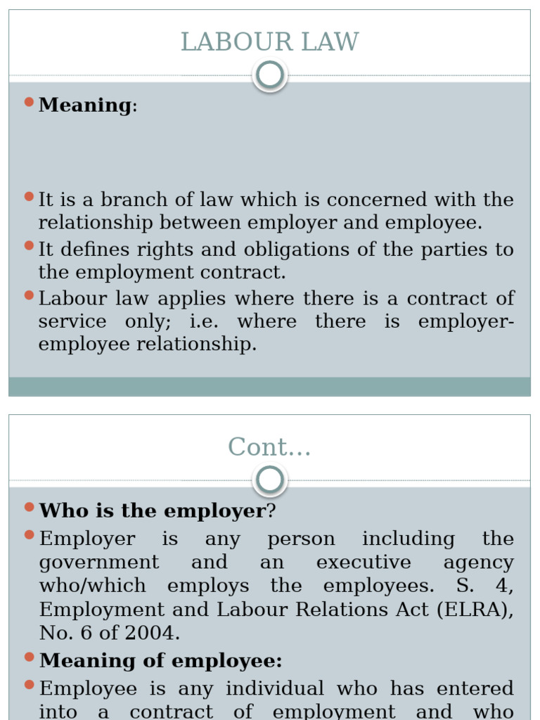 Understanding Labour Law in Tanzania | PDF | Employment | Labour Law