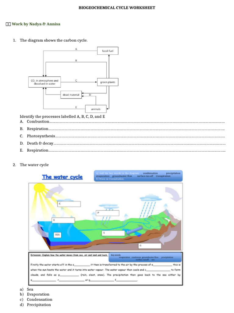 Biogeochemical Cycle Worksheet Nadya Annisa | PDF