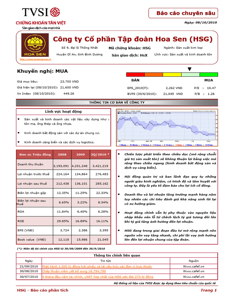 Tvsi 20101008 HSG | PDF