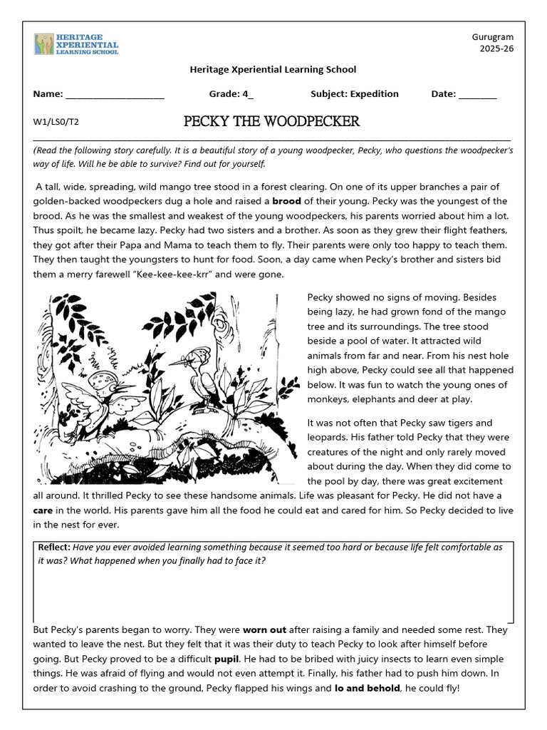 Pecky The Woodpecker | PDF | Hawk | Trees