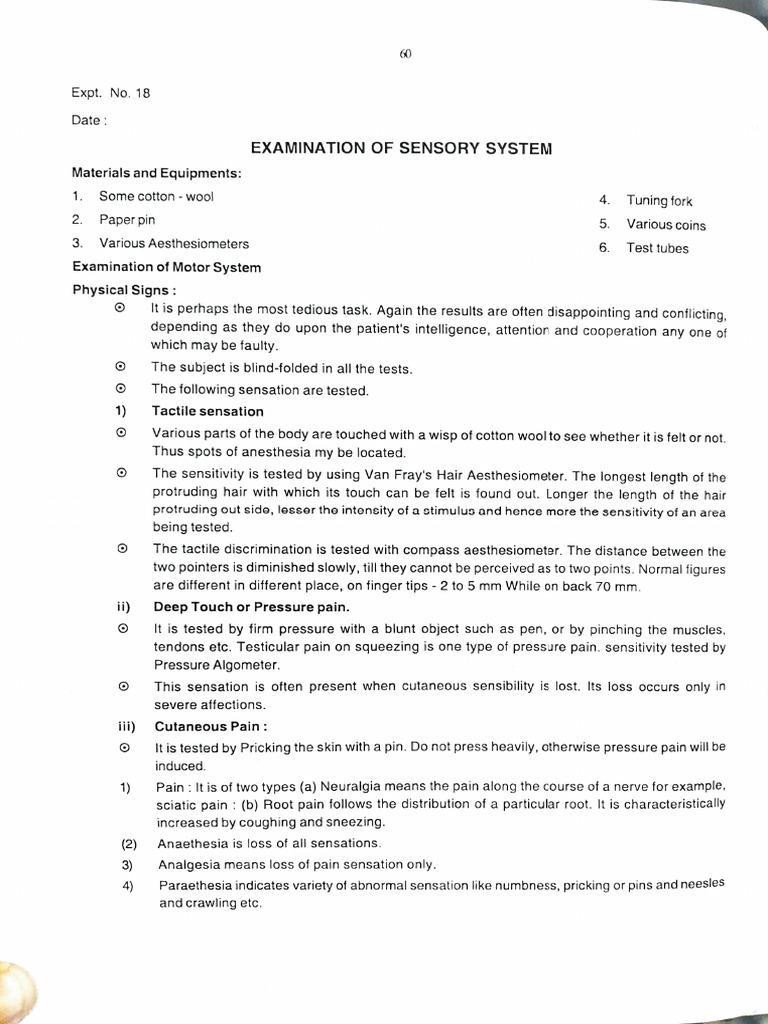 Examination of Sensory System | PDF | Senses | Pain
